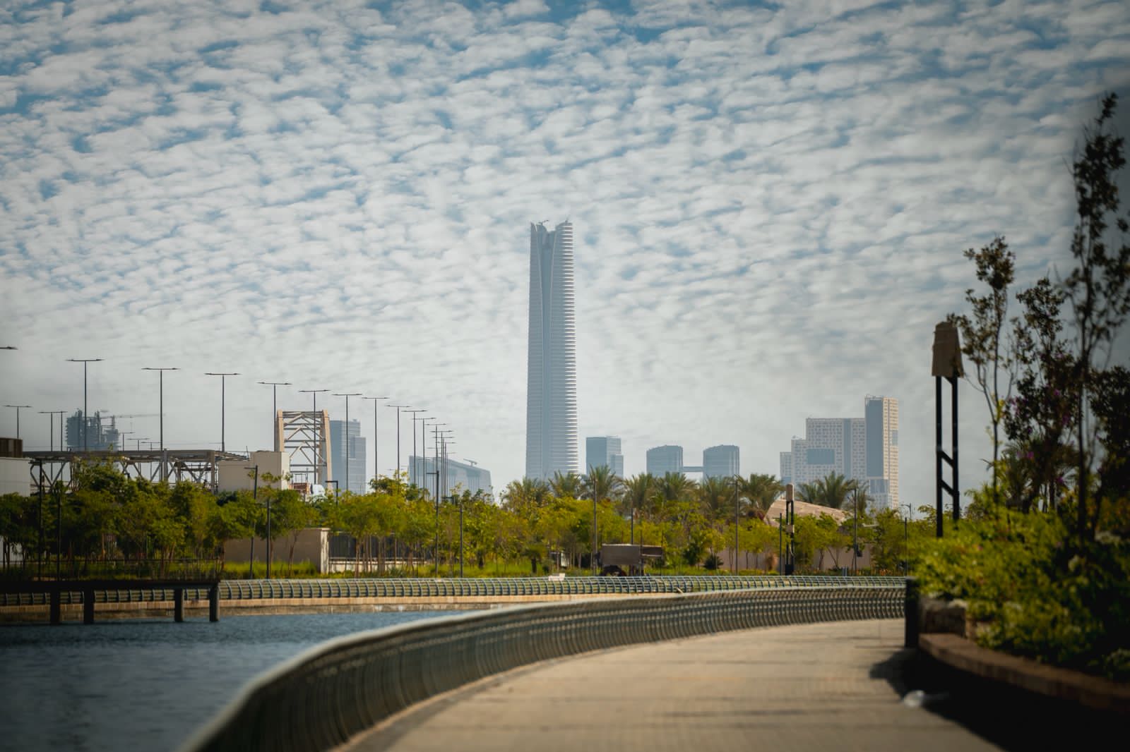 نفاد تذاكر المرحلتين الأولى والثانية من New Capital Countdown Festival ...